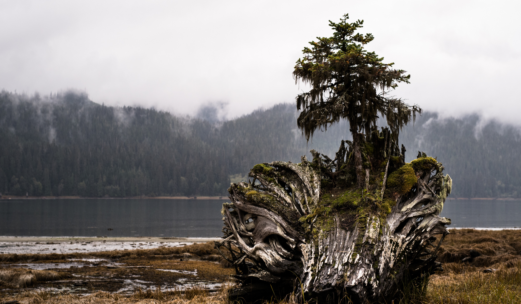 Milestone Reached for Haisla-led Cedar LNG Project - Cedar LNG