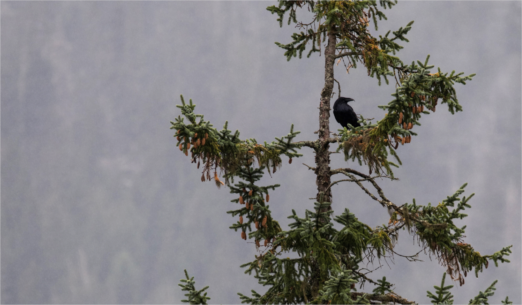 Haisla Nation Partners with Pembina Pipeline Corporation in Proposed ...
