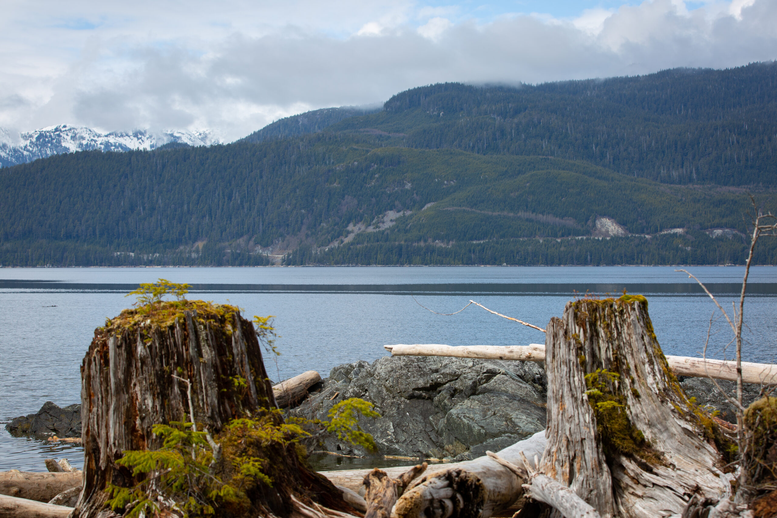 Cedar LNG awards EPC contract for state-of-the-art floating LNG ...