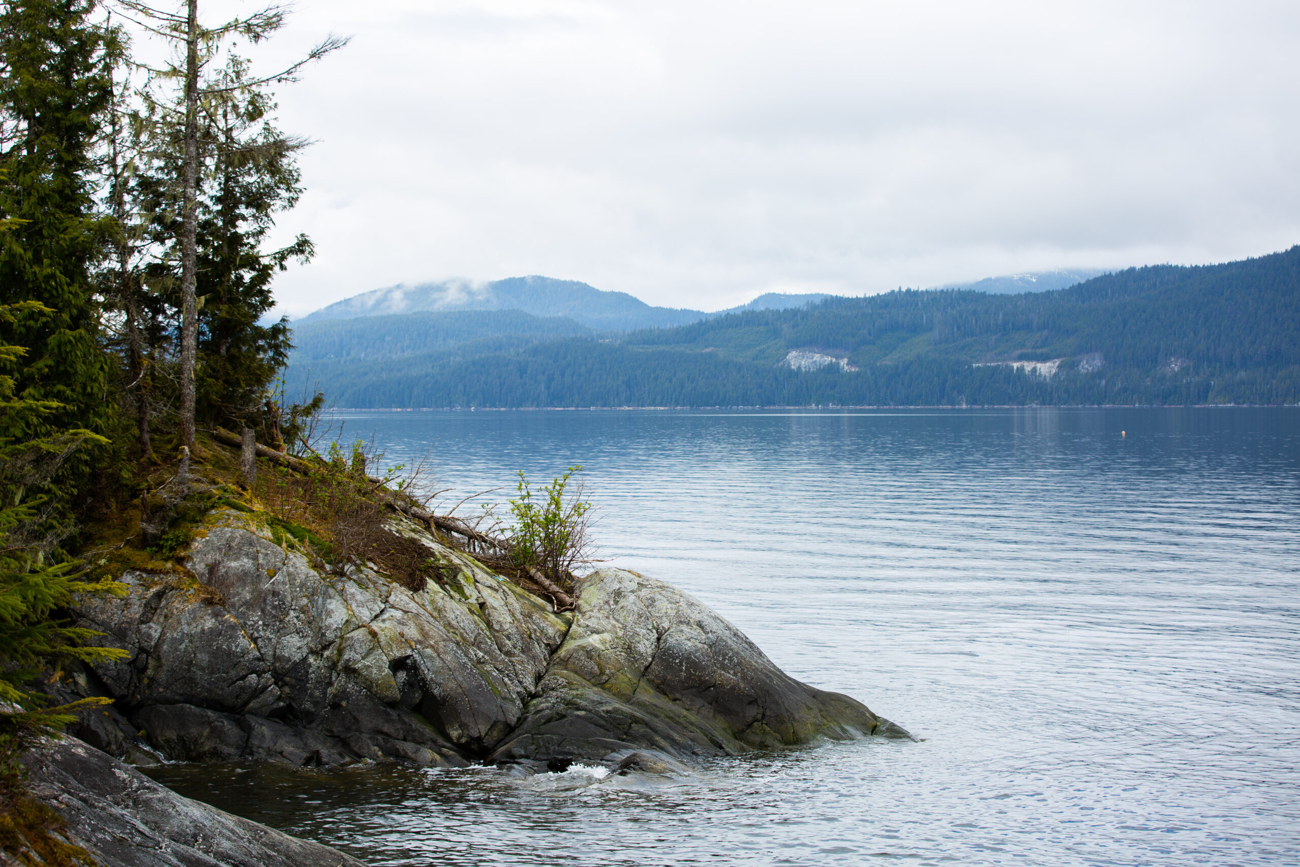 Project Update - Cedar LNG